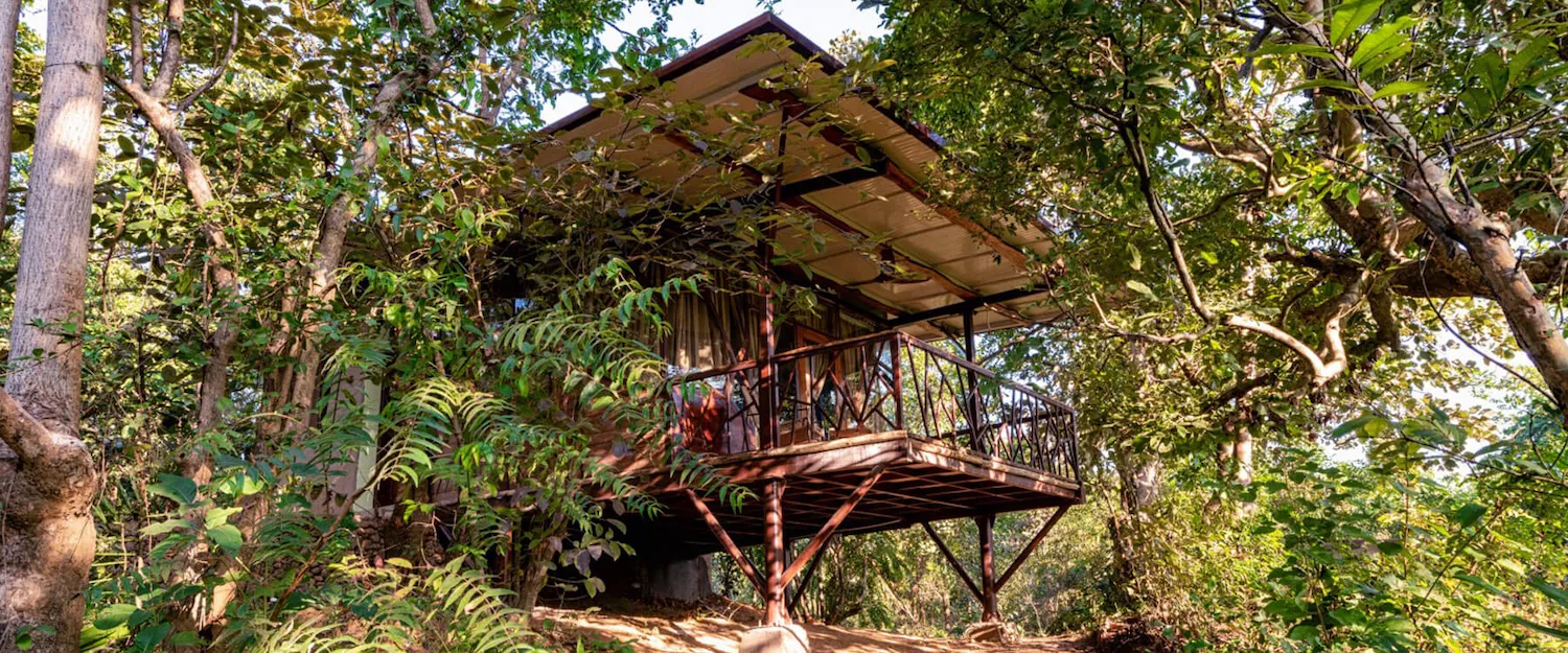 Sustainability at Jungle Camps India - Exotic Eco Resorts