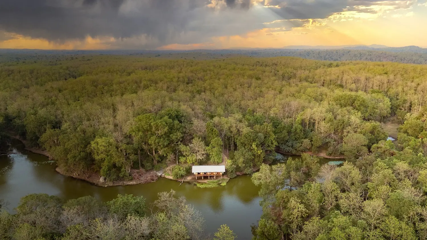 From Campfire Stories to Morning Walks: Discover the Authentic Jungle ...